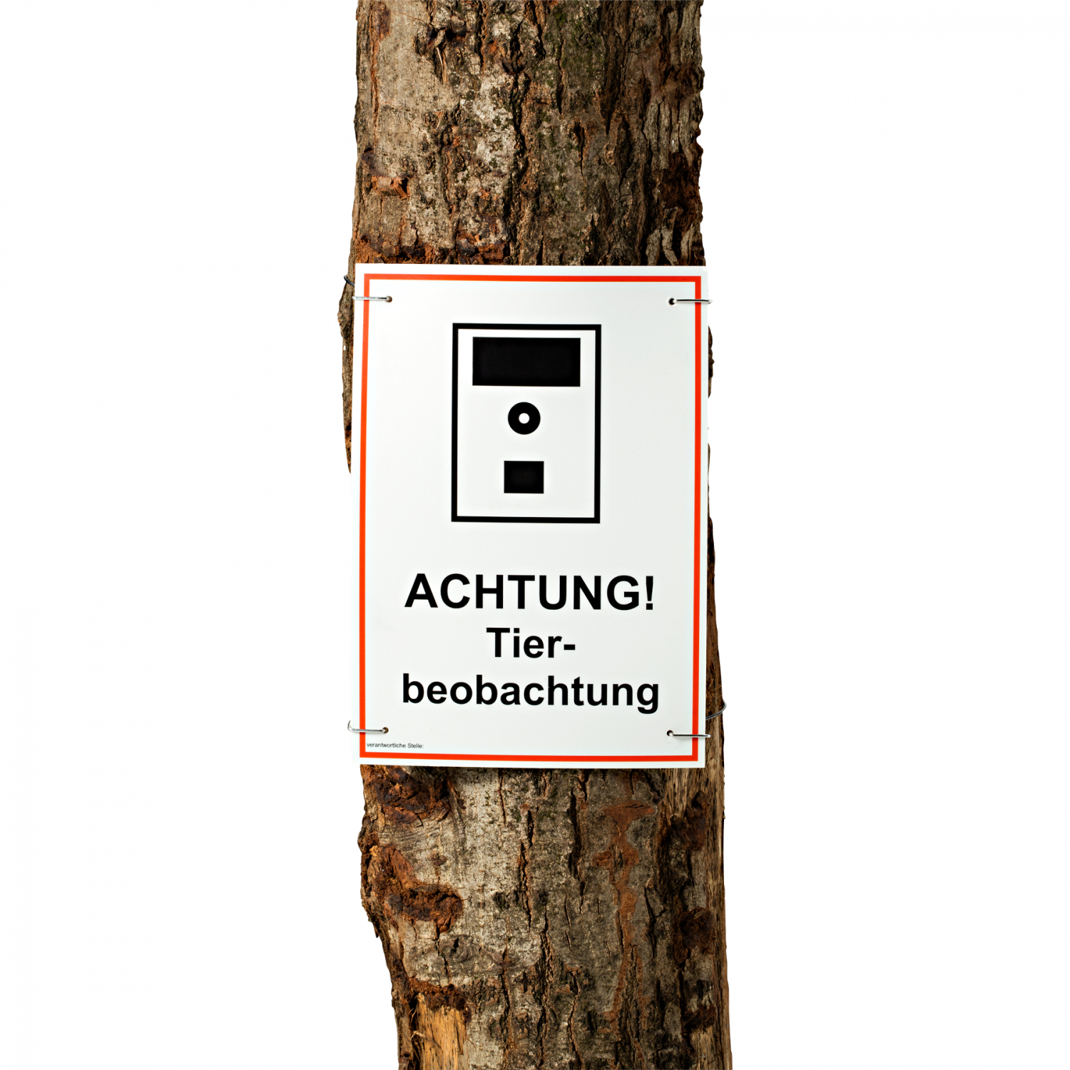 Warning sign Animal observation at low prices | Askari Hunting Shop